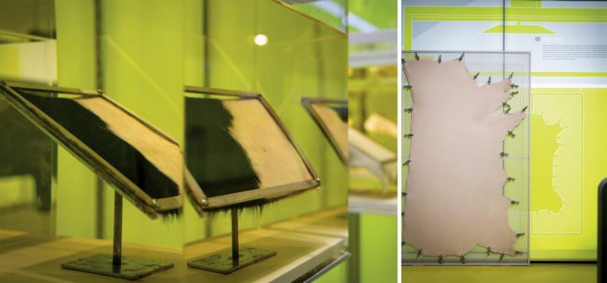 The beauty of Italy’s tanning segment: the exhibit in a video ...