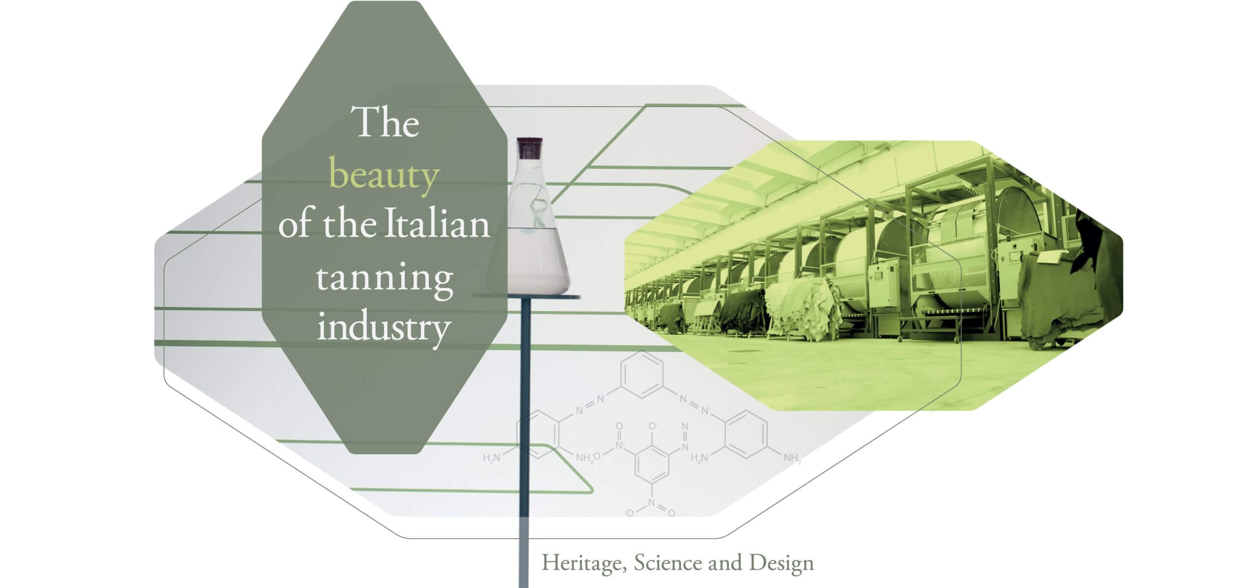 Beauty and green power of the Italian tanning industry on show at ...