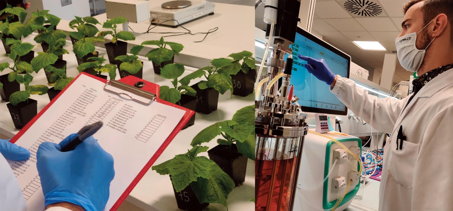 Results and reliability: Sicit wins the Premio Industria Felix ...