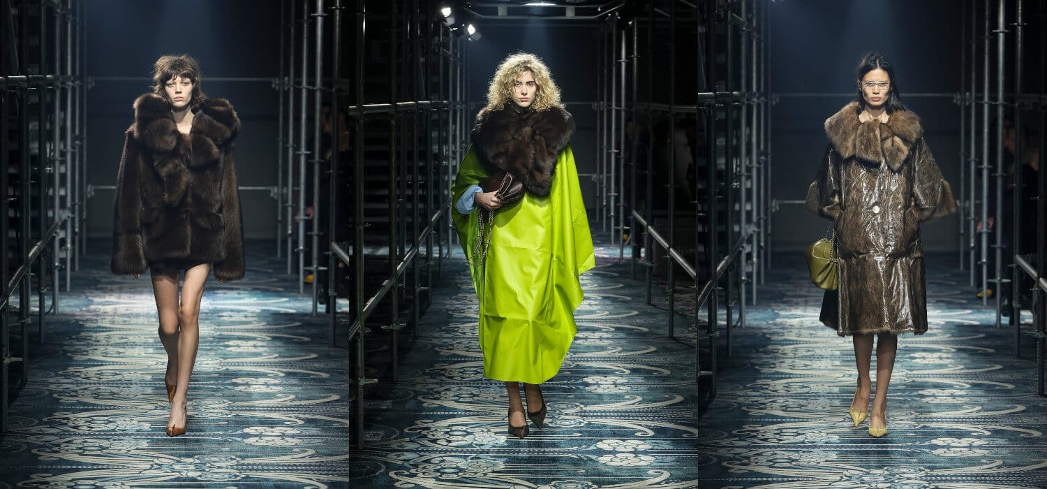 Only evoked, often real: given up for dead, fur is alive - LaConceria ...