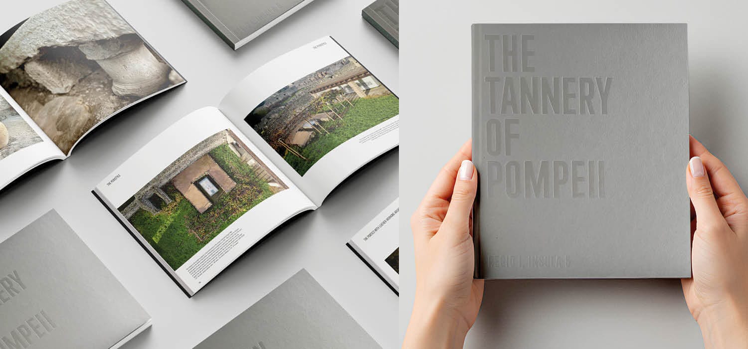 Introducing the Book That Tells the Full Story of the Pompeii Tannery ...